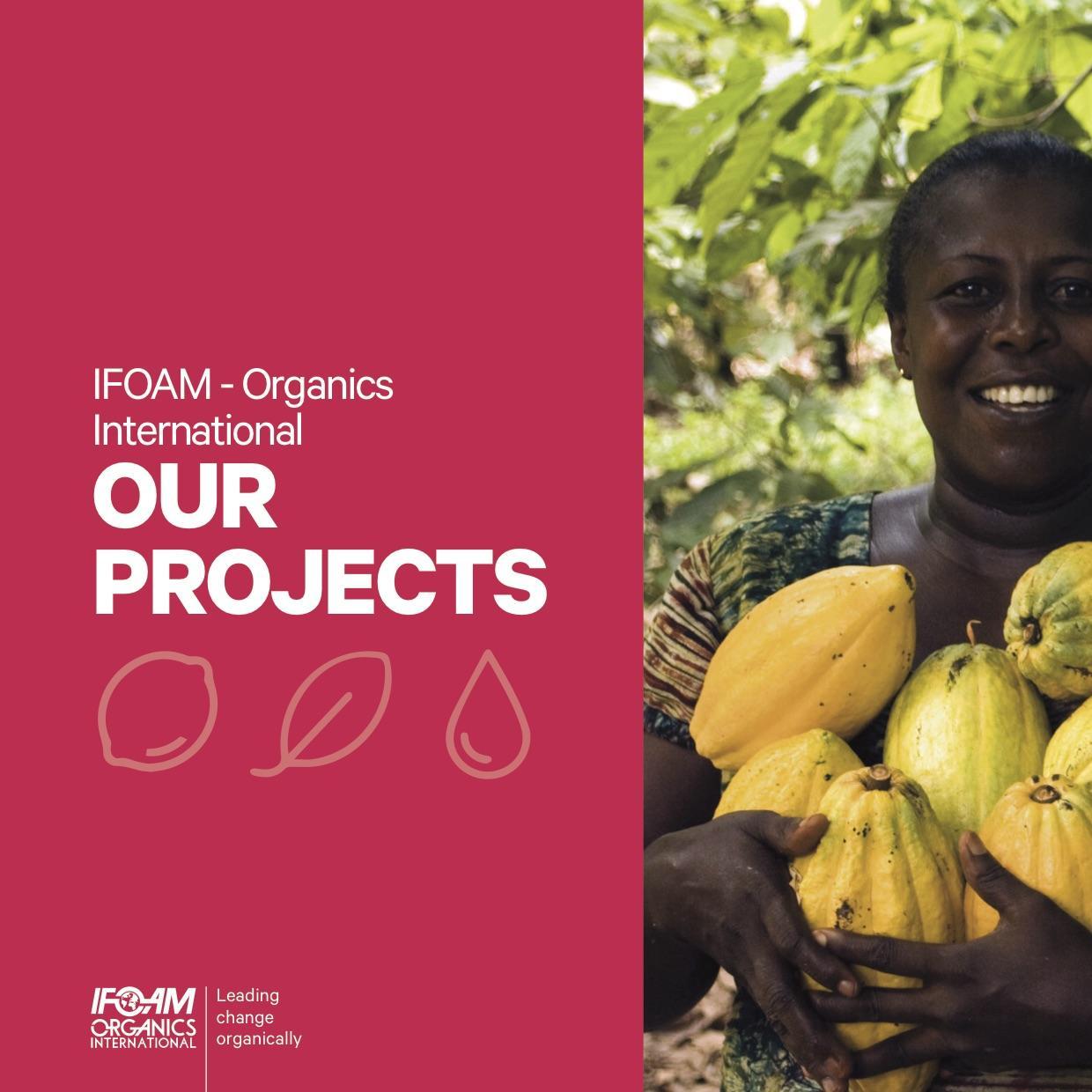 Brochure: Our Projects | IFOAM