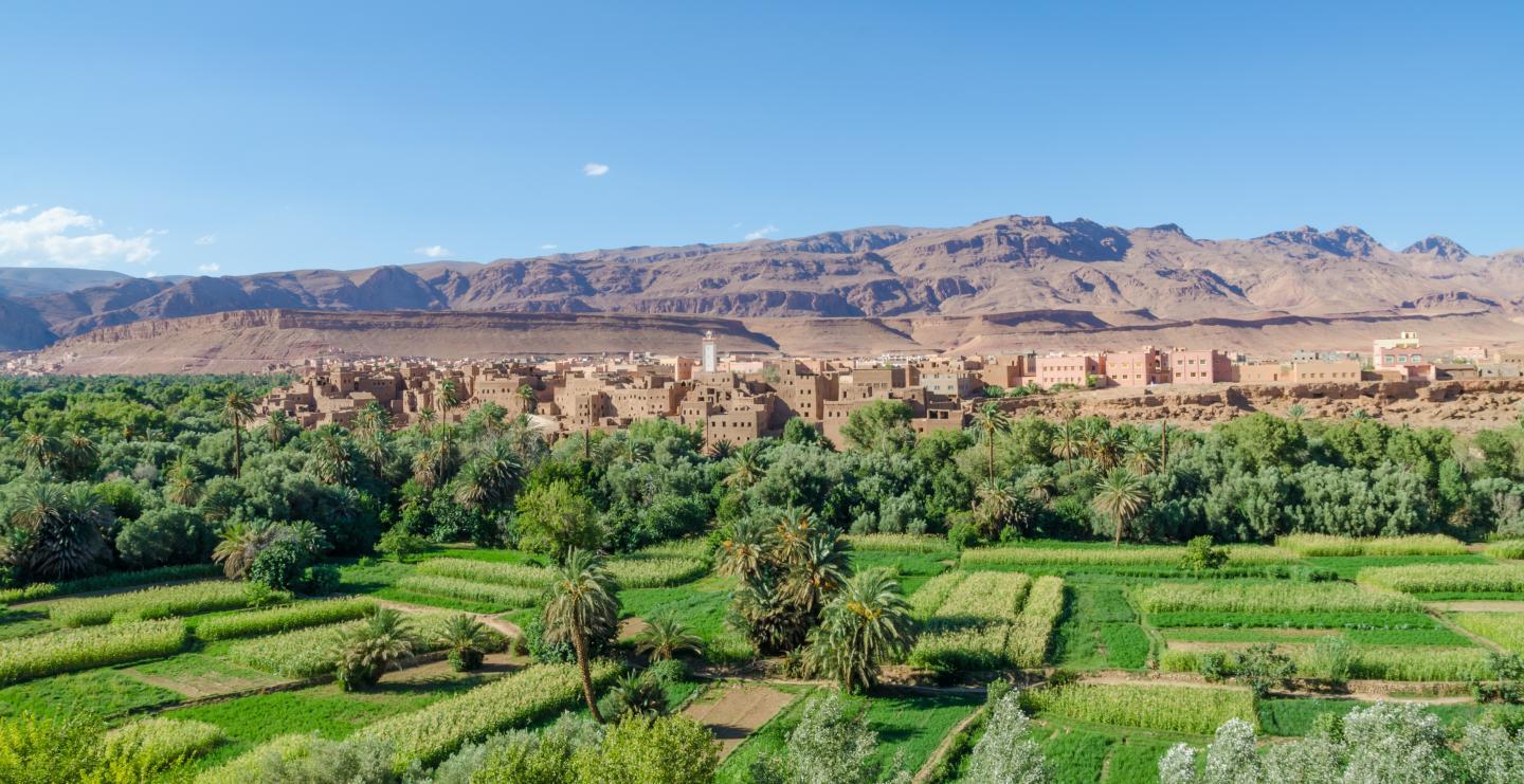 German - Moroccan Expert Dialogue on Agriculture and Forestry (DIAF ...