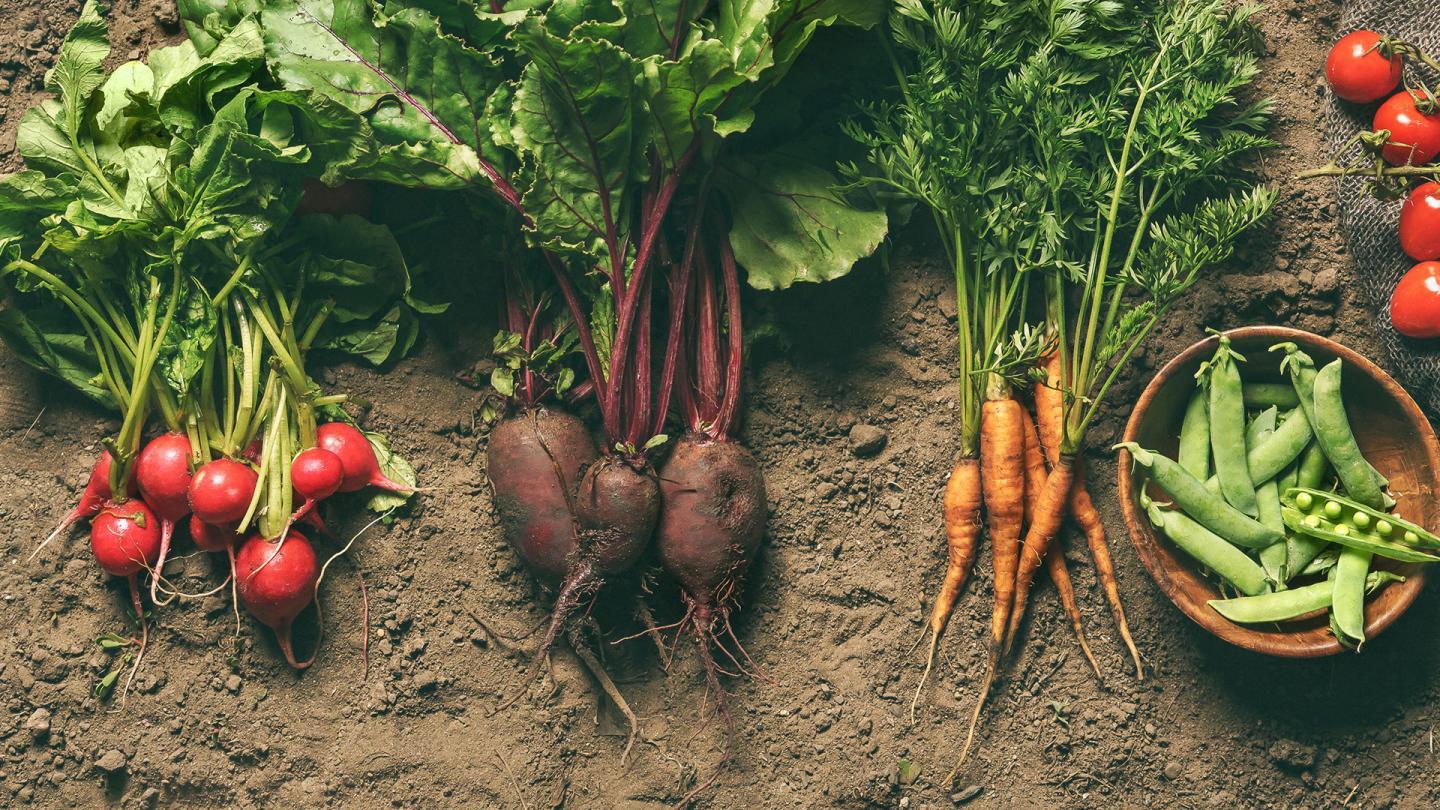 BIOFACH to be held from 26 to 29 July | IFOAM - Organics International